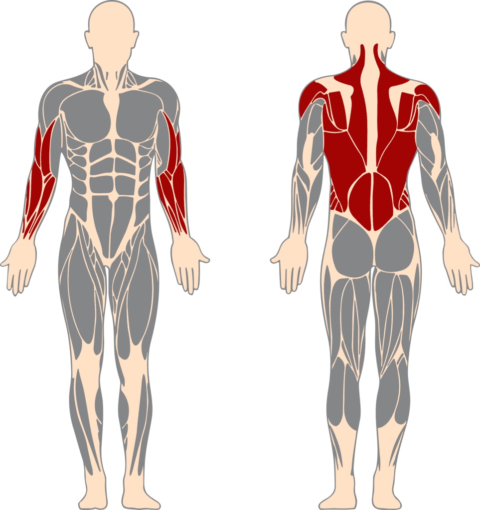Lat Pulldown - Ive Outdoor