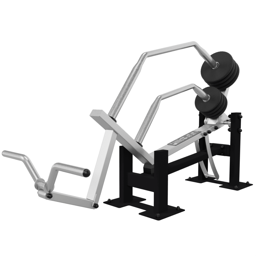 Biceps - Ive Outdoor