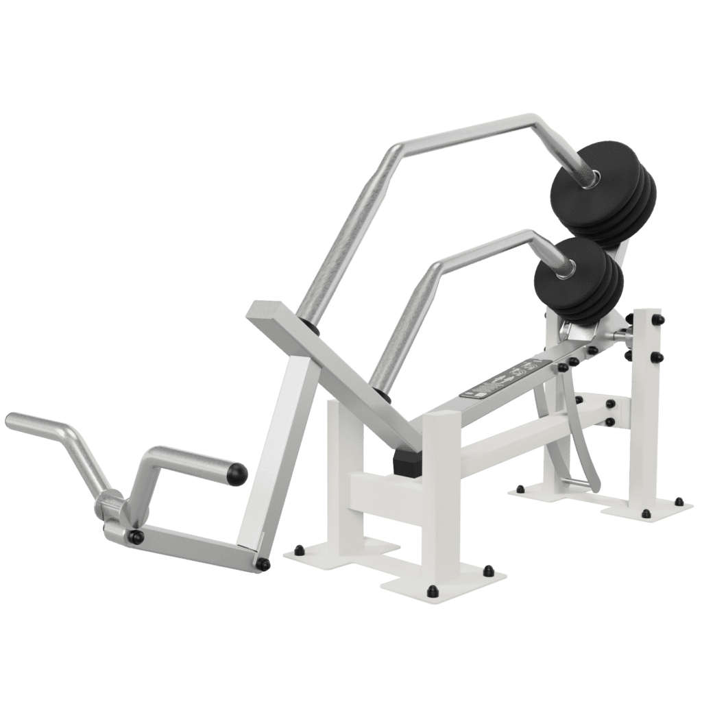 Biceps - Ive Outdoor